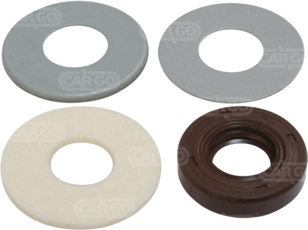 Oil Seal Kit